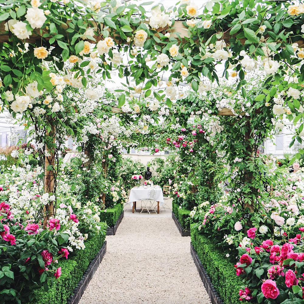 Best Flower Shows In UK 2023 | LOV Flowers – LÖV Flowers