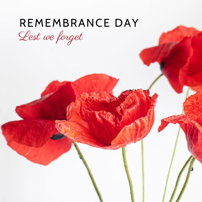 Best Places To Buy Poppies For Remembrance Day – LÖV Flowers