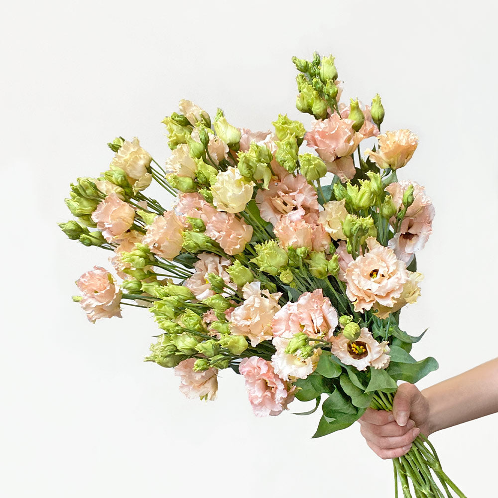 Lisianthus Flower Delivery | Free Delivery UK – LÖV Flowers
