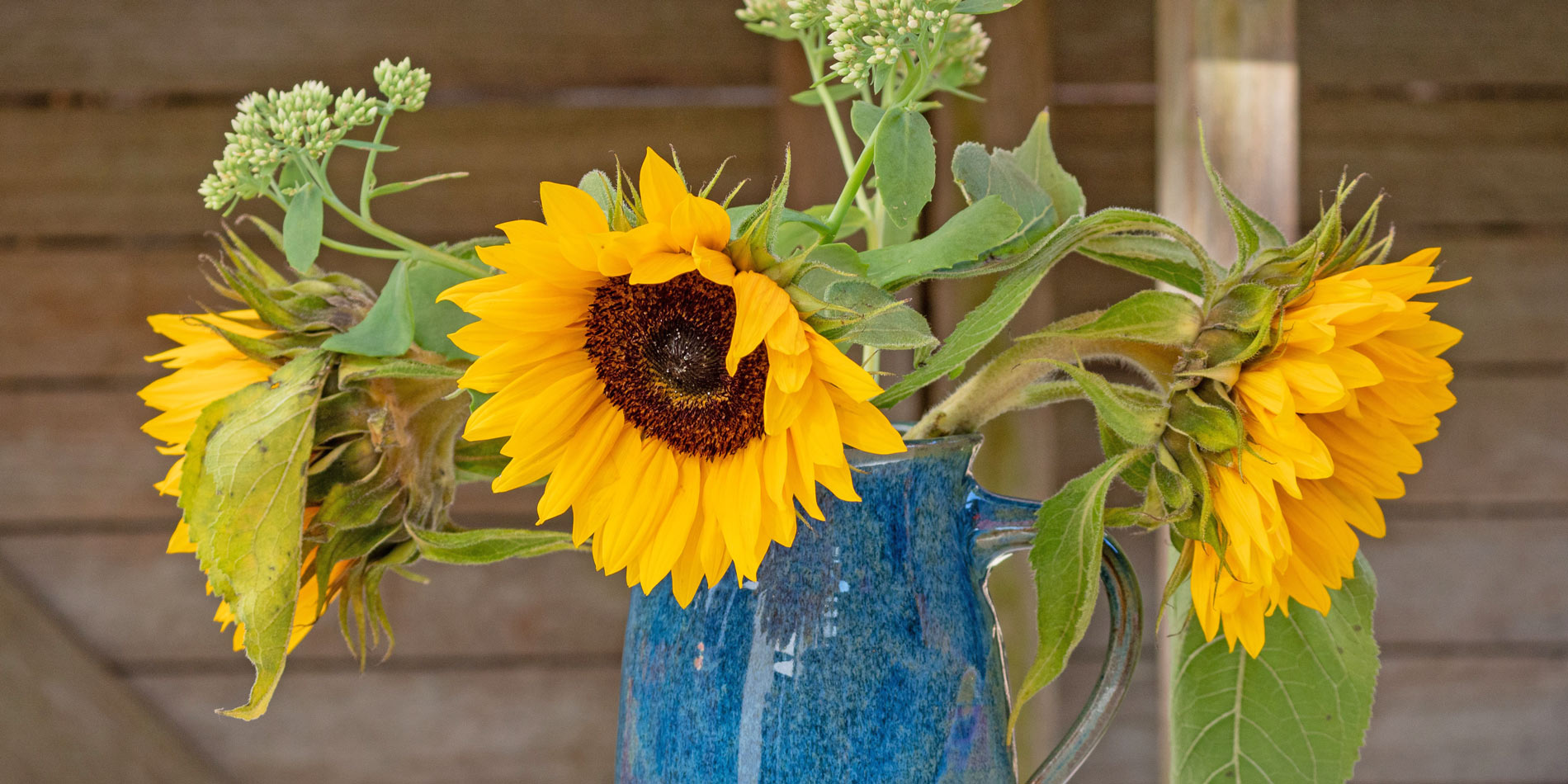 Summer Flowers | Free Flower Delivery – LÖV Flowers