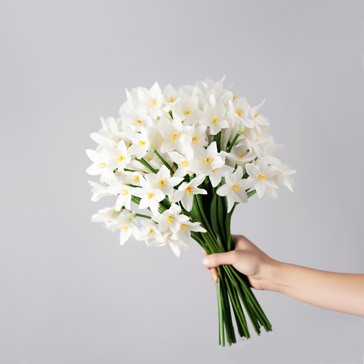 Narcissus | Spring Flower Delivery – LÖV Flowers